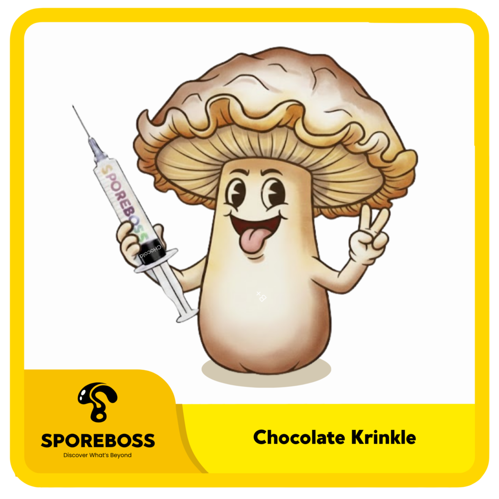 Chocolate Krinkle - SporeBoss